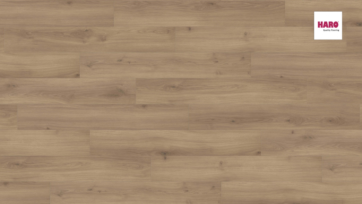 HARO Oak Emilia Puro TRITTY 200 Aqua Classic Laminált Padló - IBDesign