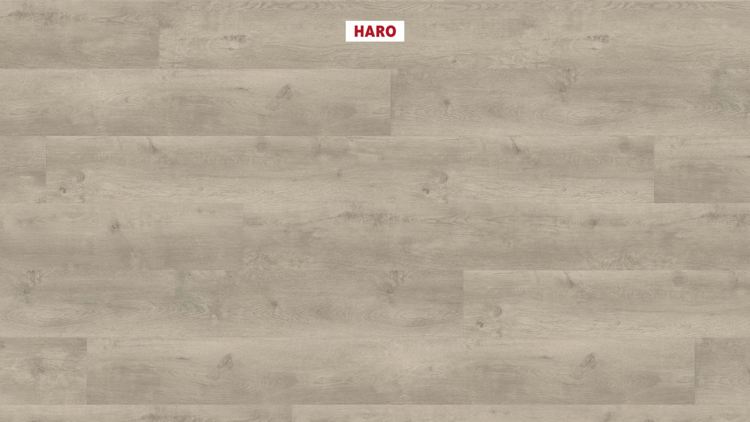 HARO Oak Bergamo Silver Grey TRITTY 200 Aqua Gran Via Laminált Padló ...